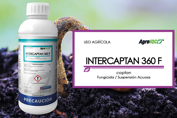 Agro IQC | Intercaptan 360 F - Semillas