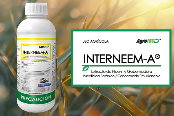 Agro IQC | Interneem A - Orgánicos